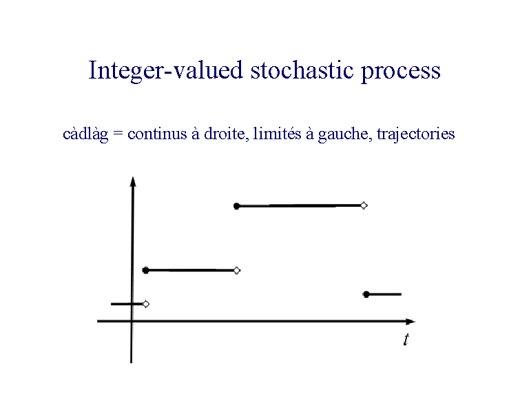 Integer-valued stochastic process