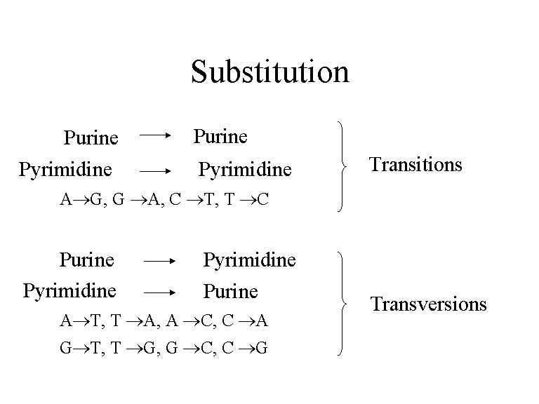 Substitution