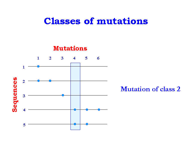 Classes of mutations